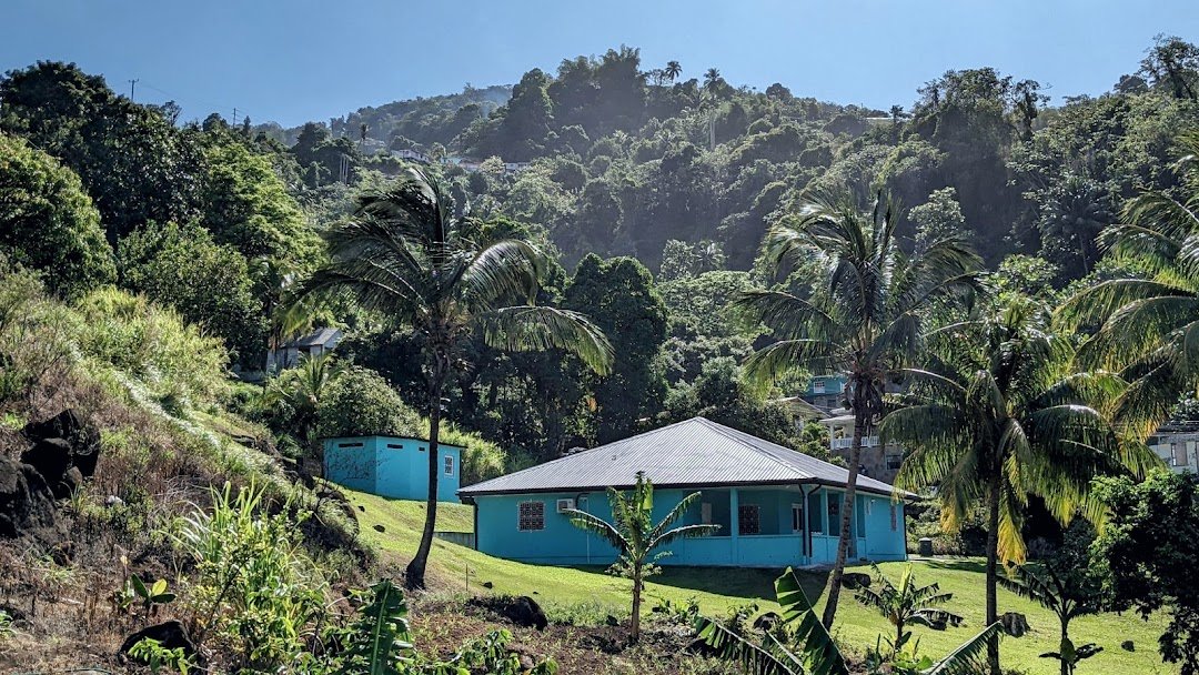 Welcome - The Cyan House